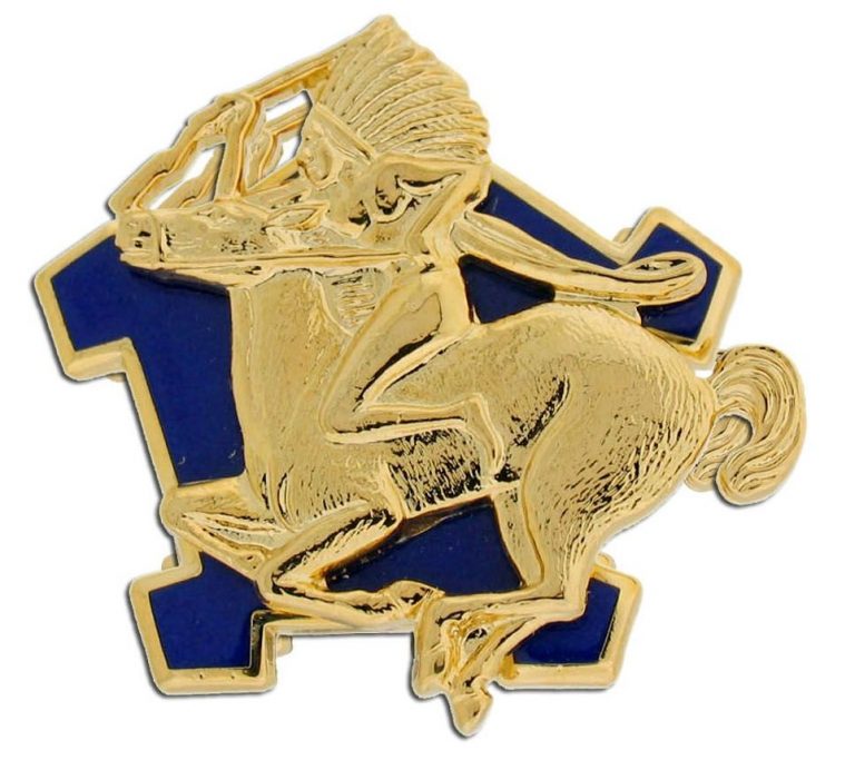 Crest 9th Cavalry Regiment | Crossed Sabers – Chapter Gift Shop